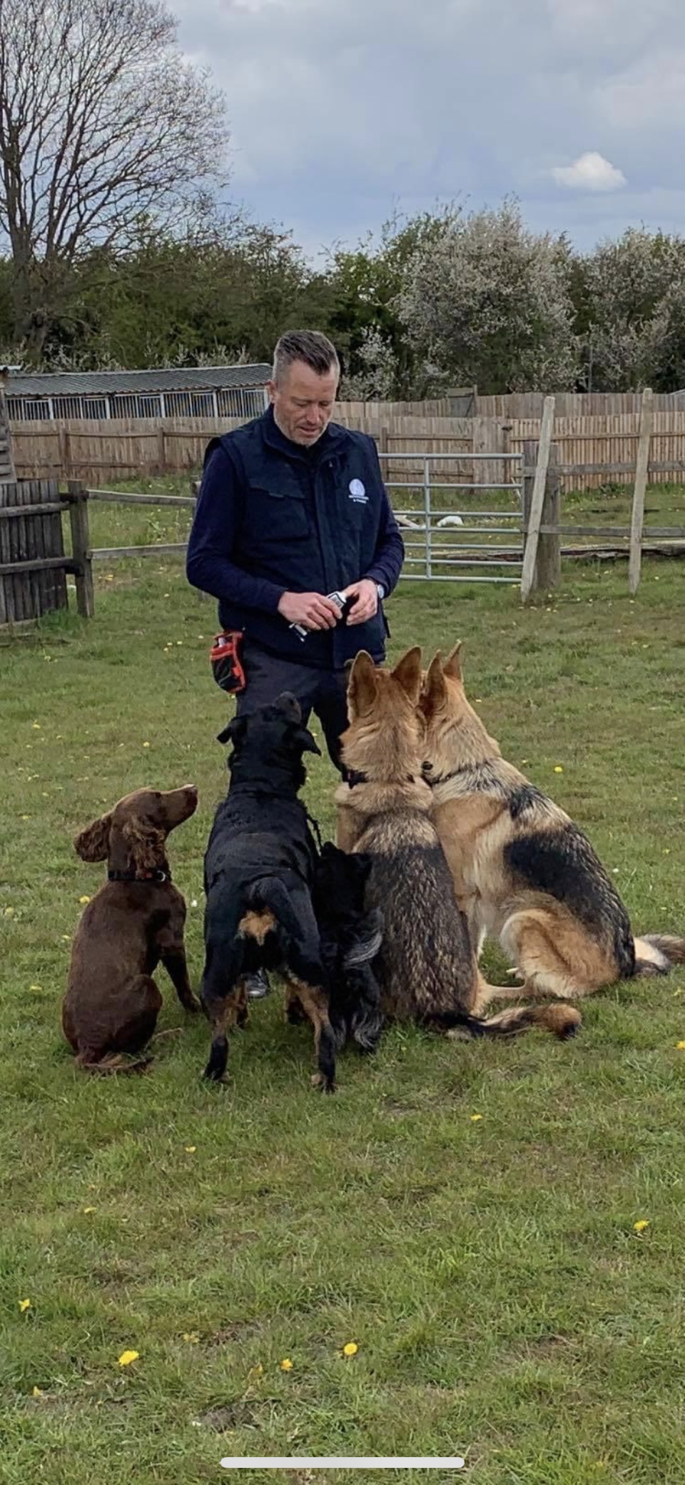 About Steve | Steve Hutley Dog Rehabilitation & Training