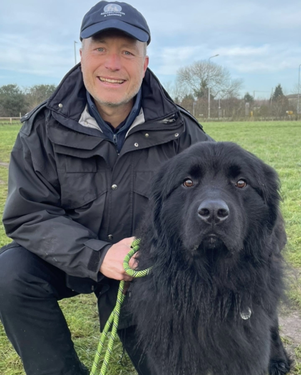 About Steve | Steve Hutley Dog Rehabilitation & Training