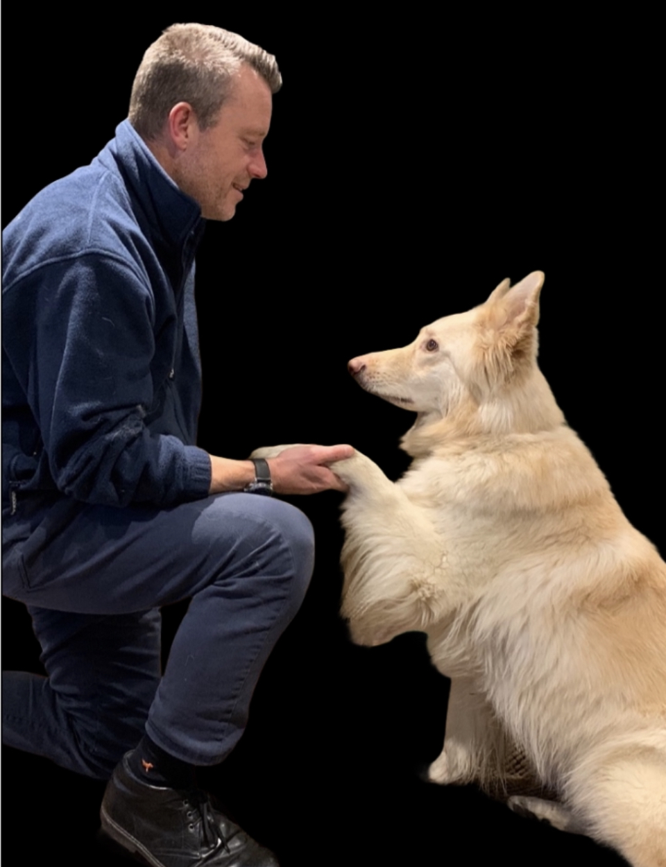 About Steve | Steve Hutley Dog Rehabilitation & Training