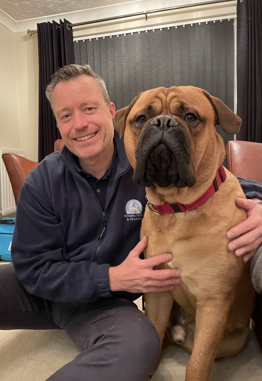 About Steve | Steve Hutley Dog Rehabilitation & Training