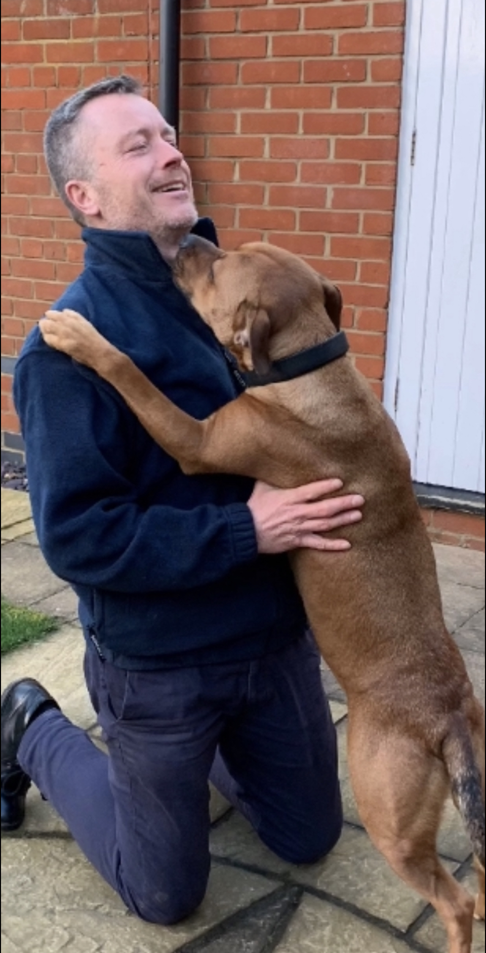 About Steve | Steve Hutley Dog Rehabilitation & Training